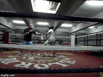 Sparring - Imgflip