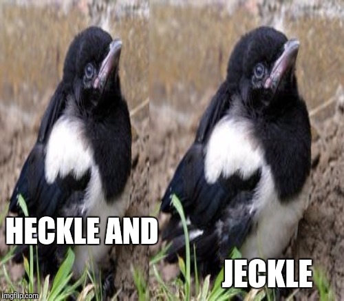 Tip, this is not about Leo! - Imgflip