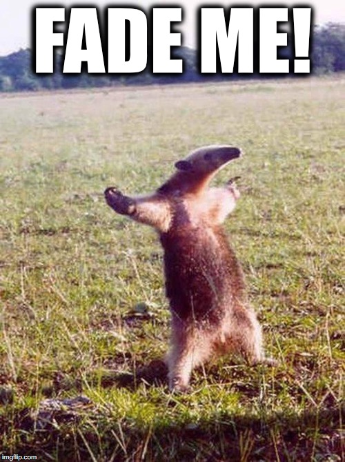 Fight me anteater - Imgflip