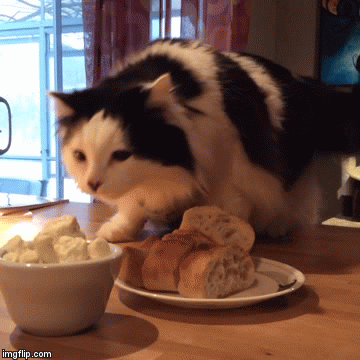 Cheese stealer - Imgflip