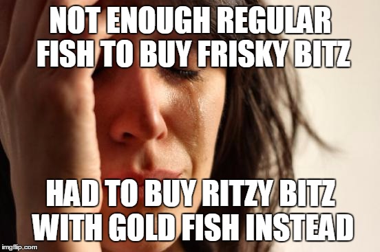 First Kitty World Problems - Imgflip