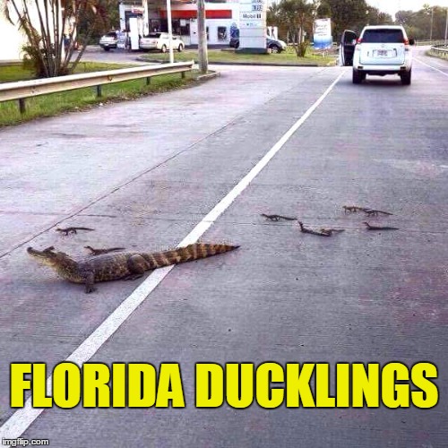 Welcome to the Sunshine State - Imgflip