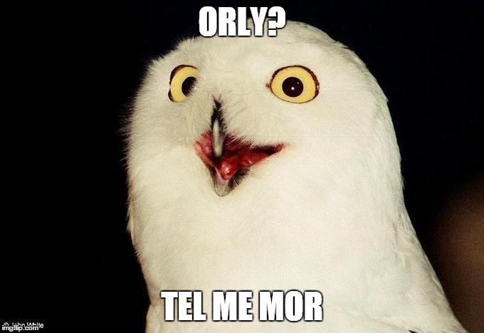 Orly Owl - Imgflip