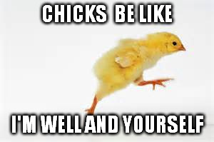 Image tagged in funny memes - Imgflip