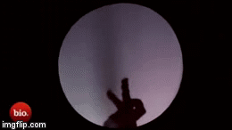 Hand shadow - Imgflip