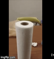 perfectly fits - Imgflip