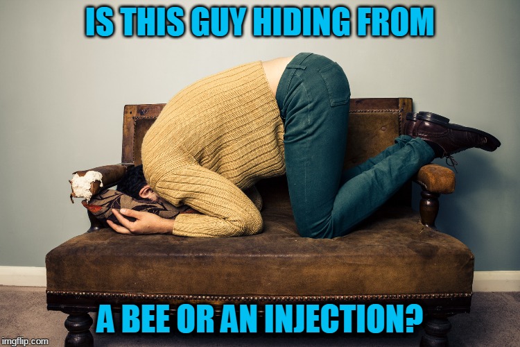 Why Does A Bee-Sting Hurt So Much And What Can You Do About It ...