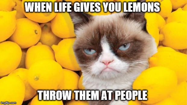 Grumpy Cat lemons - Imgflip