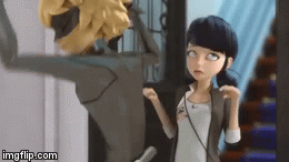 Bla Bla Bla... Cat Noir - Imgflip