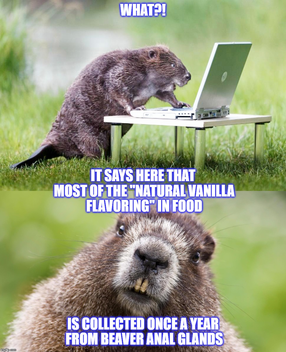 I Gotta Watch My Butt - Imgflip