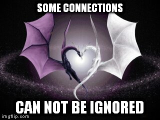 Image tagged in connections - Imgflip