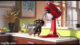 When you get an itch - Imgflip