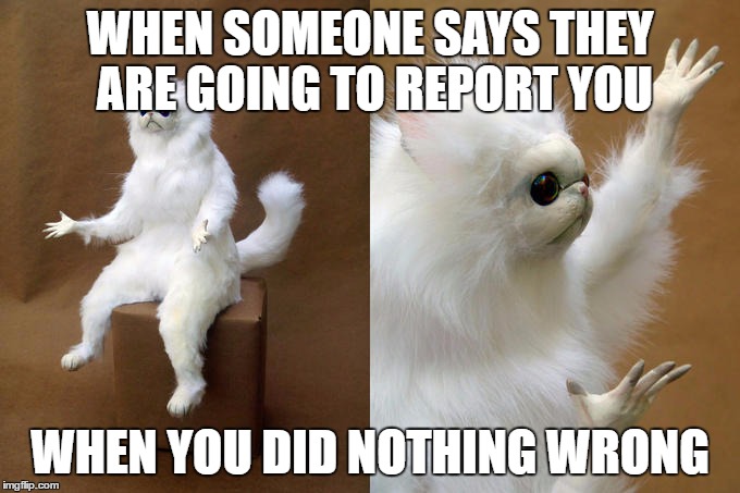 Persian Cat Room Guardian Meme - Imgflip