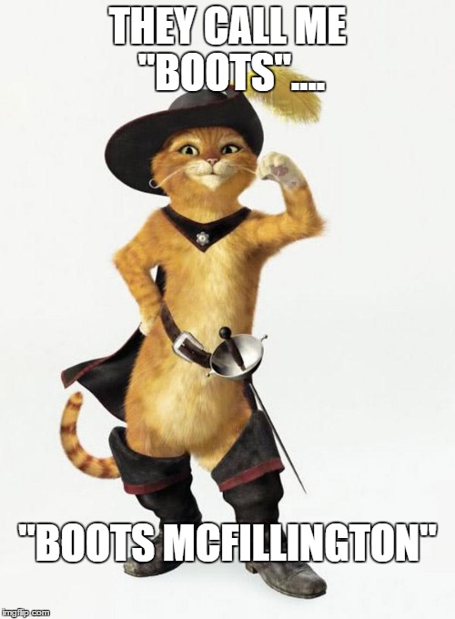 Puss In Boots Meme Template