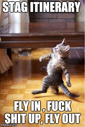 Walking Cat - Imgflip