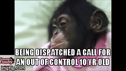 Dispatched - Imgflip