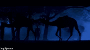 Animated GIF - Imgflip