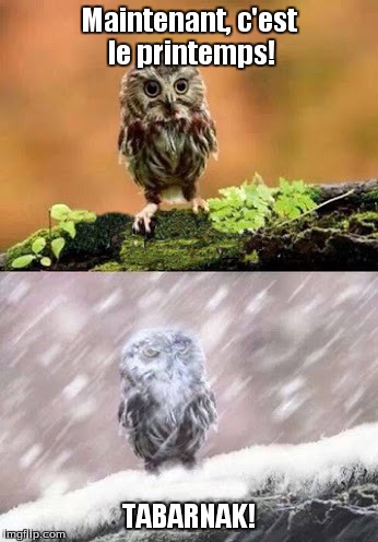 It's Spring! $&*@! (French version) - Imgflip