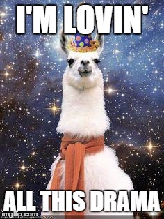 Drama Llama Birthday - Imgflip