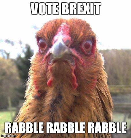 Chicken Brod - Imgflip