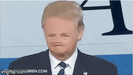 My life is complete now that I know this exists. - Imgflip