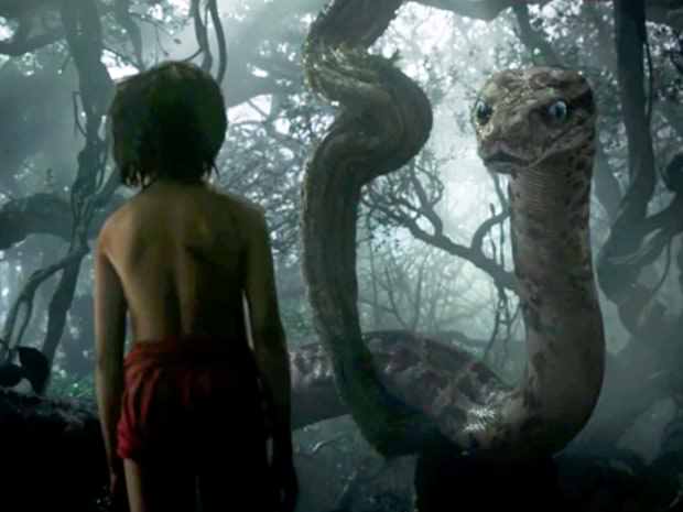 Kaa Blank Template - Imgflip