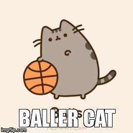 Baller Cat - Imgflip