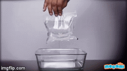 Animated GIF - Imgflip