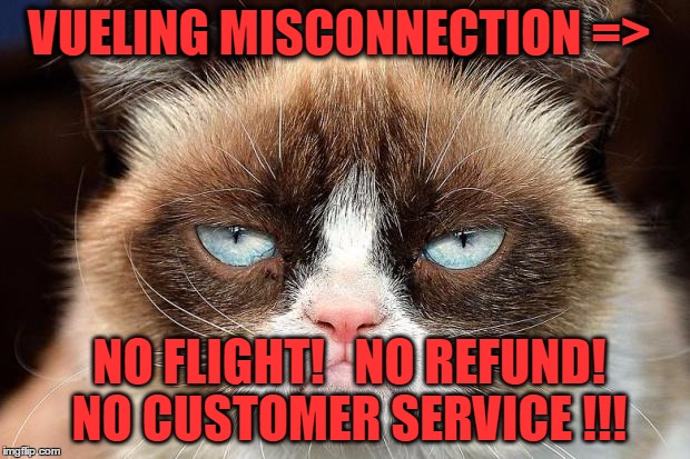 Grumpy Cat Not Amused Meme - Imgflip