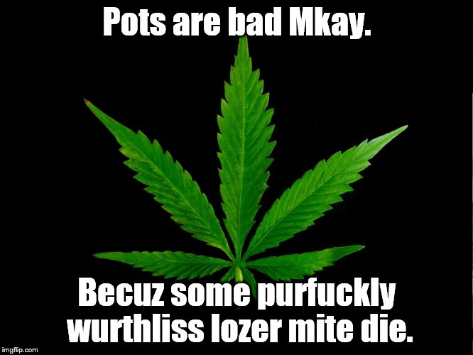 Marajuana Leaf - Imgflip