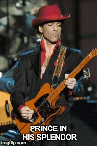 Prince in his splendor - Imgflip