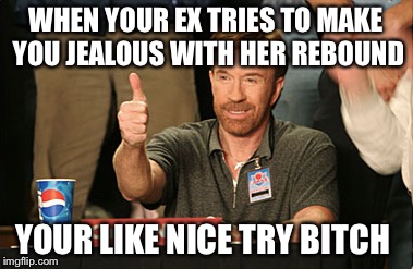 Chuck Norris Approves Meme - Imgflip