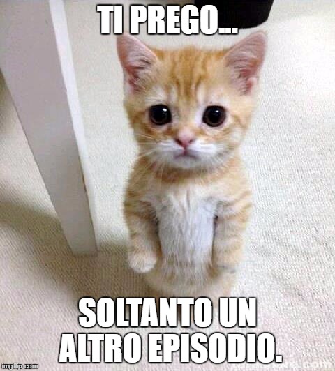 Cute Cat Meme - Imgflip