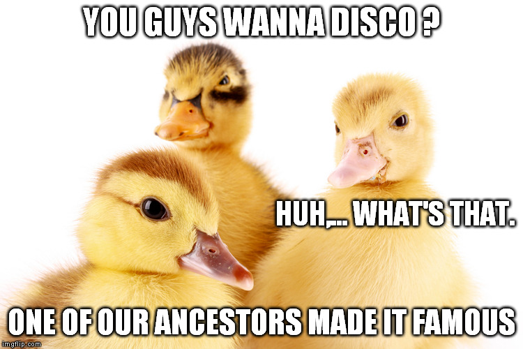 When the music stopped I returned to my seat But there's no stoppin' a ...