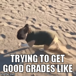 TRYING TO GET GOOD GRADES LIKE. - Imgflip
