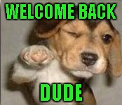 Hey Internet Meme - Imgflip