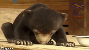 Me In Math Class - Imgflip