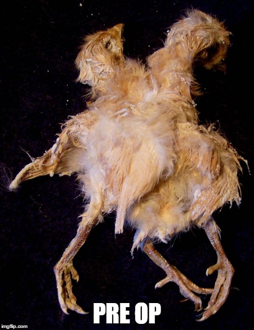 What your kids don't see before Chicken dinner at kfc... Cue hardest ...