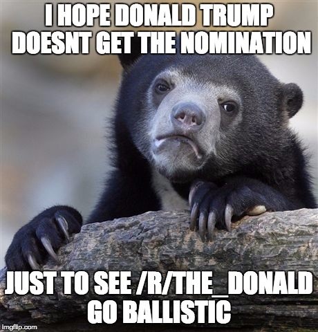 Confession Bear Meme - Imgflip