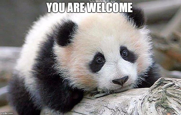 This is why steak prices are so High! - Imgflip