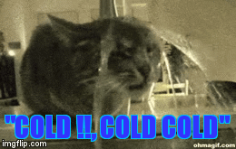 Cold shower - Imgflip