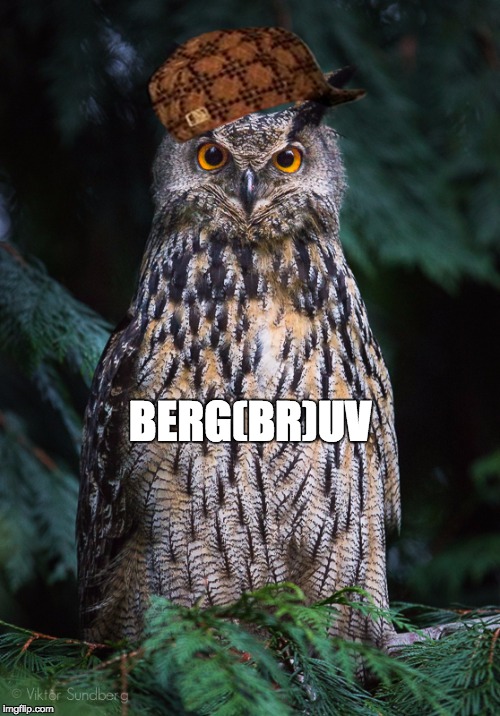 Image tagged in scumbag - Imgflip