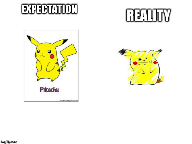 Expectations Versus Reality Imgflip