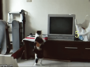 when your bf asks you to switch on the tv - Imgflip