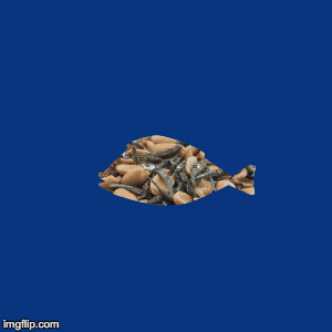 Animated GIF - Imgflip