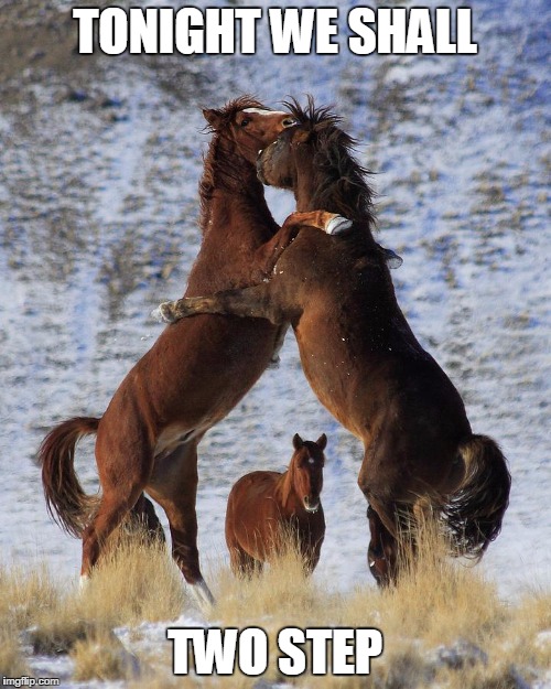 Image tagged in horse hug - Imgflip