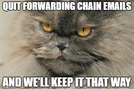 Leonardo Dicaprio Cheers Meme - Imgflip