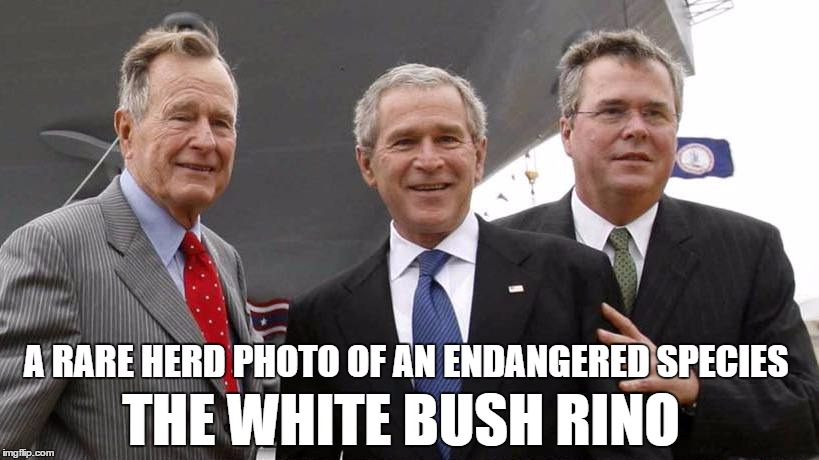 On the verge of political extinction - Imgflip