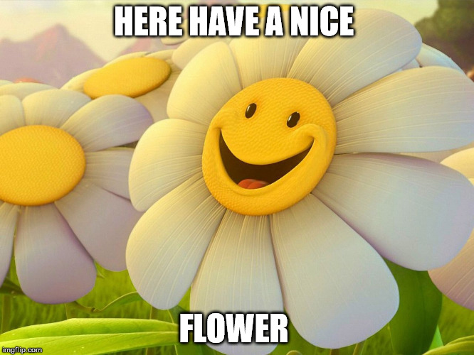 Grumpy Cat Meme - Imgflip