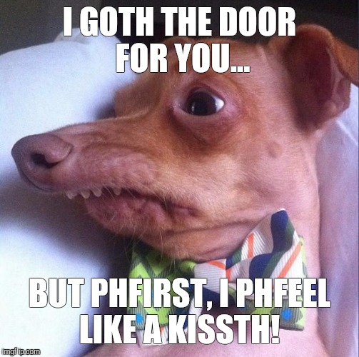 Tuna the dog (Phteven) - Imgflip